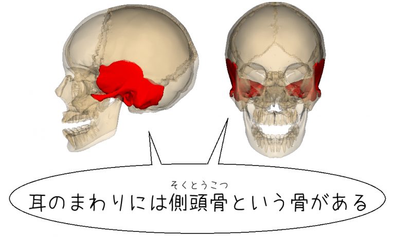 頭痛が続く！【頭の横】が痛い時の自宅での治し方片頭痛 『レントゲン異常なし』と言われた後の体の痛みの治しかた