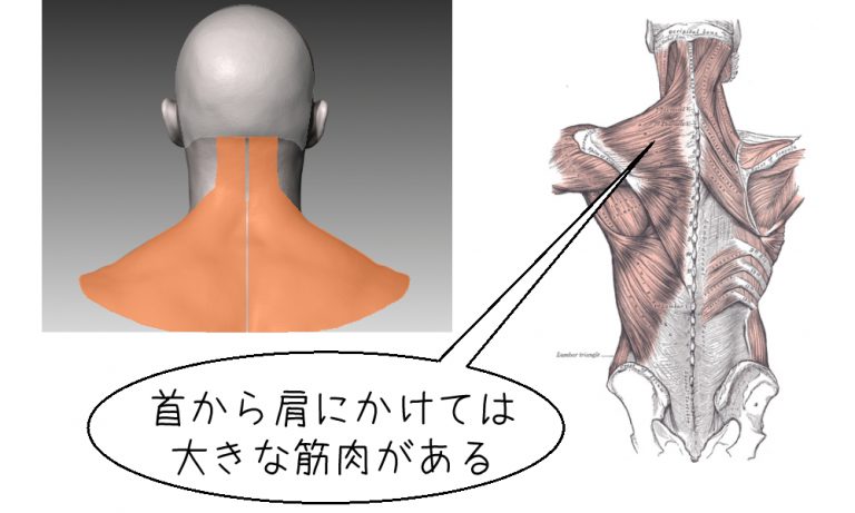 肩こり解消！【首から肩まで痛い人】の自宅での治し方 『レントゲン異常なし』と言われた後の体の痛みの治しかた