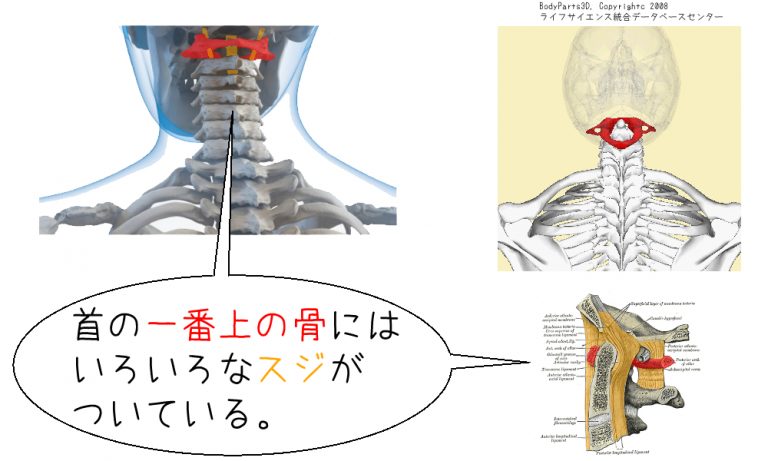 頭痛が続く！【頭のあちこち】が痛い時の自宅での治し方薬以外の方法 『レントゲン異常なし』と言われた後の体の痛みの治しかた