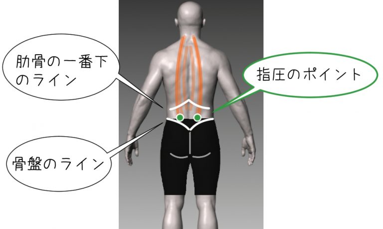 背中の痛み！【背中の中央の筋肉が痛い時】の自宅治療法とストレッチ 『レントゲン異常なし』と言われた後の体の痛みの治しかた