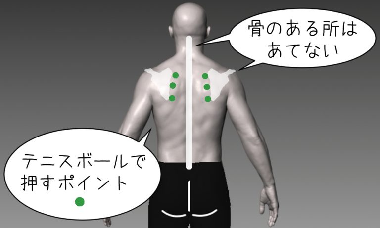 背中の痛み！【肩甲骨ぞいの横が痛い時】の自宅治療法とストレッチ 『レントゲン異常なし』と言われた後の体の痛みの治しかた