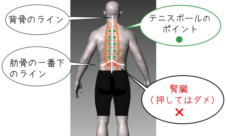 背中の痛み！【背中の中央の筋肉が痛い時】の自宅治療法とストレッチ 『レントゲン異常なし』と言われた後の体の痛みの治しかた