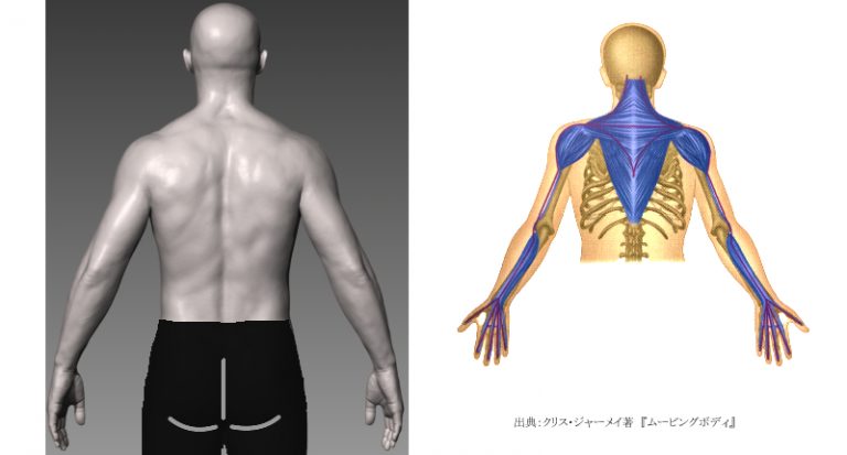 首こり解消！【横を向くと首がつらい時】の原因と自宅での治療法 『レントゲン異常なし』と言われた後の体の痛みの治しかた