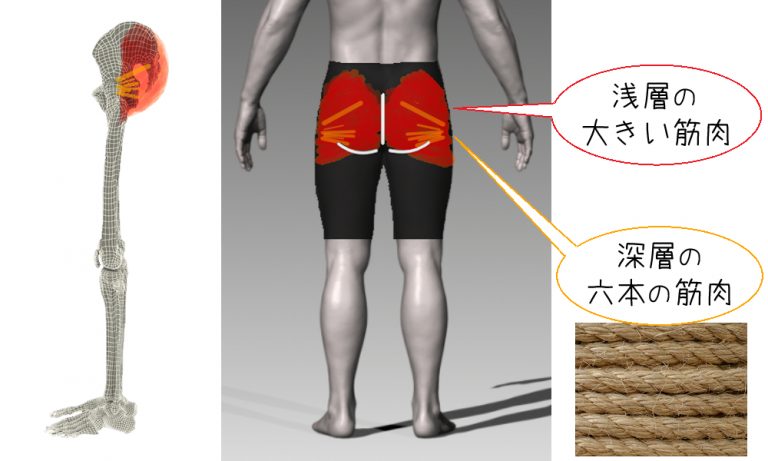 腰が痛い！【お尻のほっぺ】の自宅治療法とストレッチ 『レントゲン異常なし』と言われた後の体の痛みの治しかた